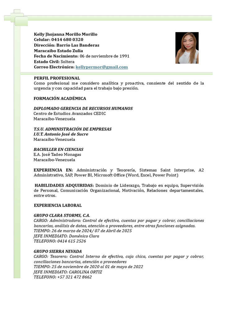 Hoja de Vida Kellyp | PDF | Office Suites para Windows | Informática