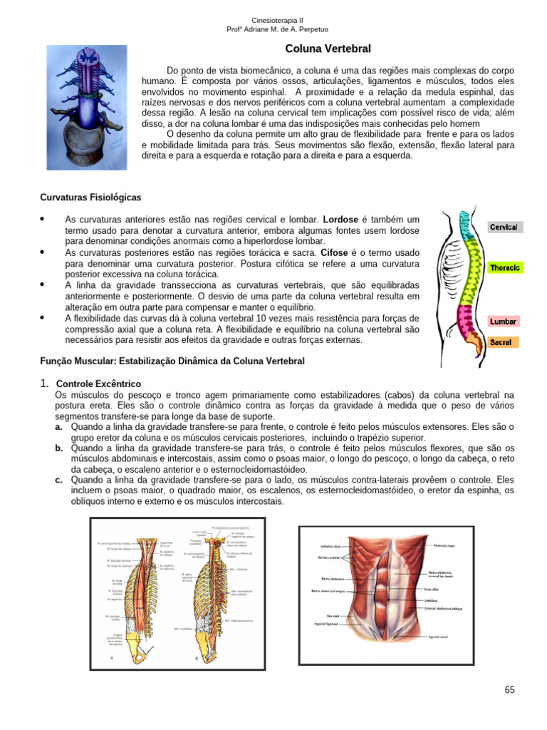 CINESIOTERAPIA - COLUNA VERTEBRAL - ESTRUTURA E PROBLEMAS COMUNS | PDF | Coluna vertebral ...