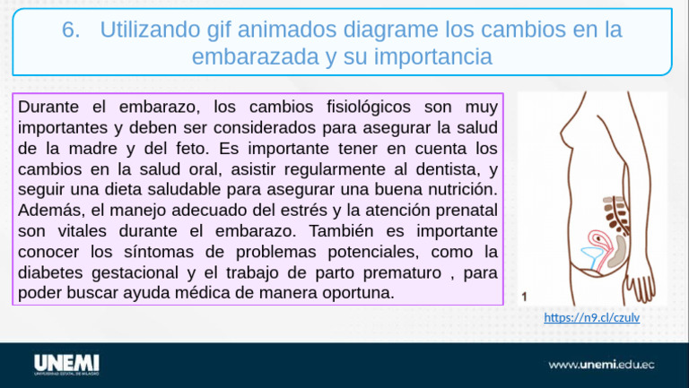 Utilizando Gif Animados Diagrame Los Cambios en La Embarazada y Su ...