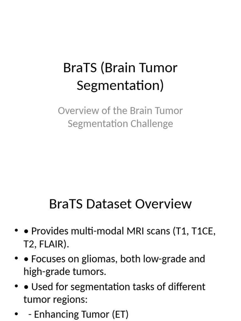 BraTS Brain Tumor Segmentation Presentation | PDF