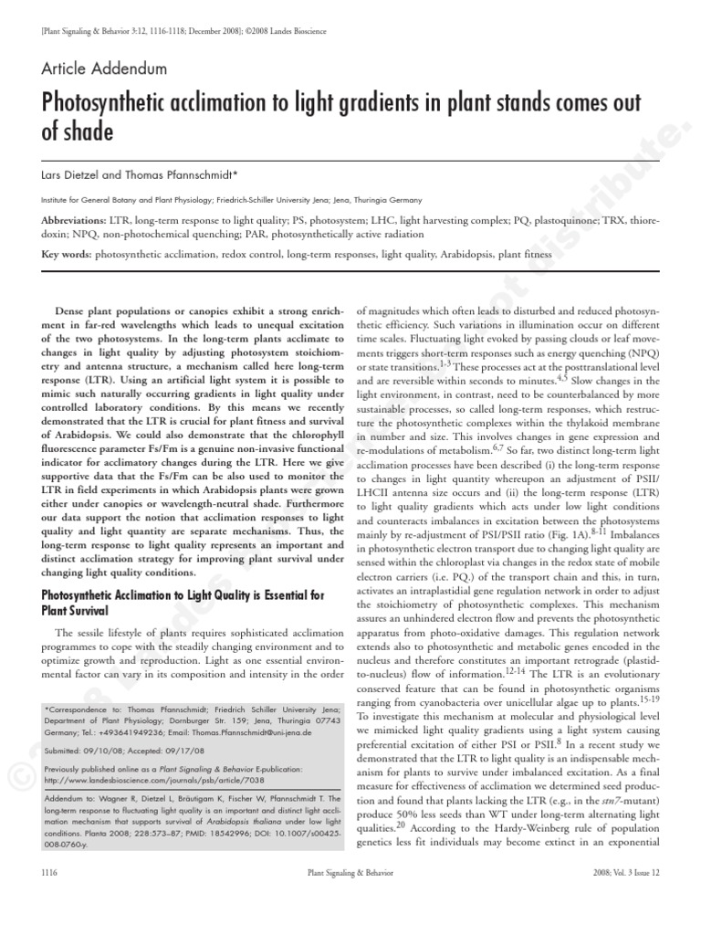 Photosynthetic Acclimation To Light Gradients | PDF | Photosynthesis ...