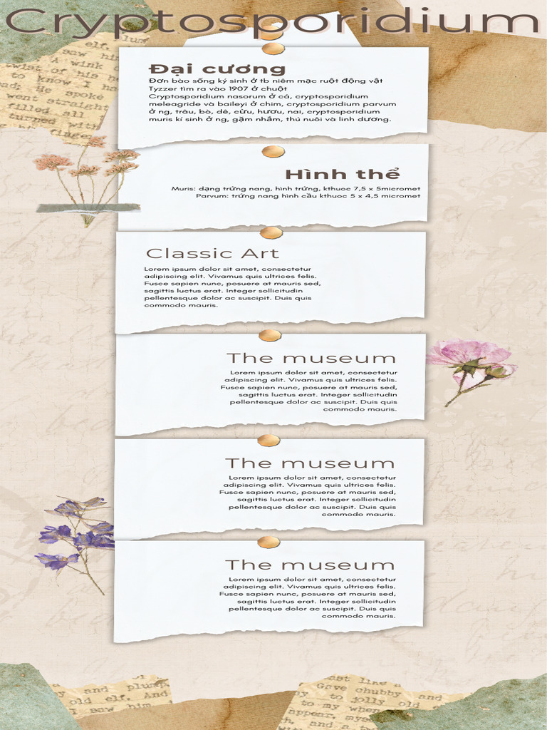 Beige Scrapbook Art and History Museum Infographic | PDF