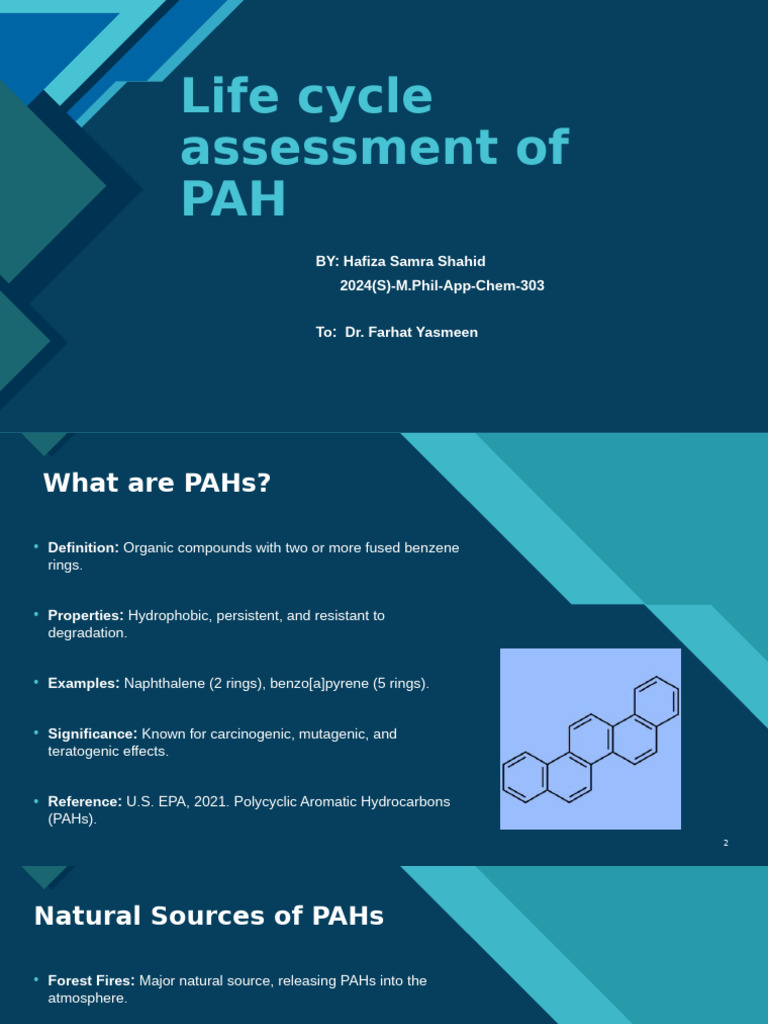 PAH Life Cycle Assessment Overview | PDF | Polycyclic Aromatic ...