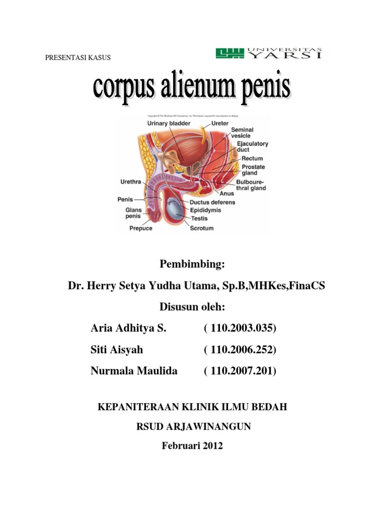 Corpus Alienum Penis | PDF