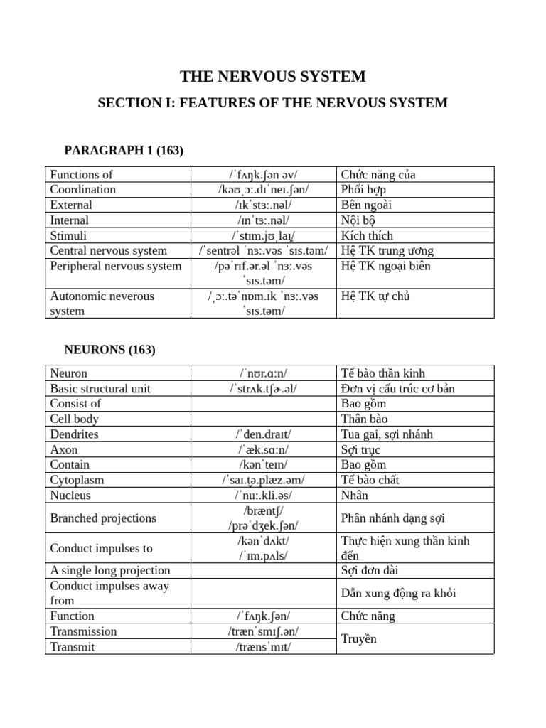 The Nervous System 2 | PDF
