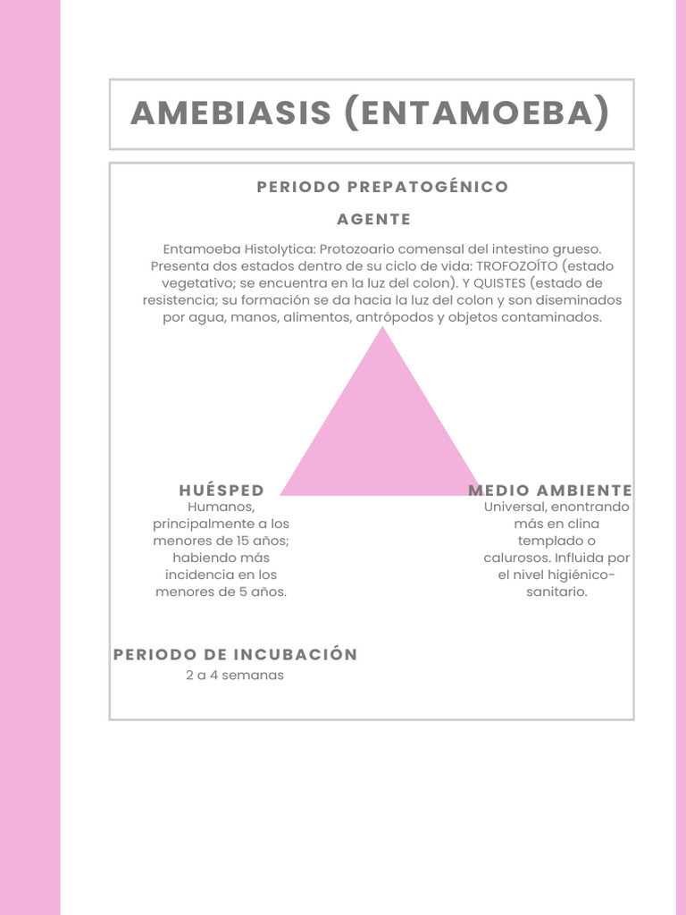 Periodo Prepatogénico y Prevención - Entamoeba - Romero Dayan PDF | PDF ...