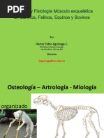 Anatomía Del Hueso Del Húmero Del Perro AnatomyLearner - El Lugar para ...