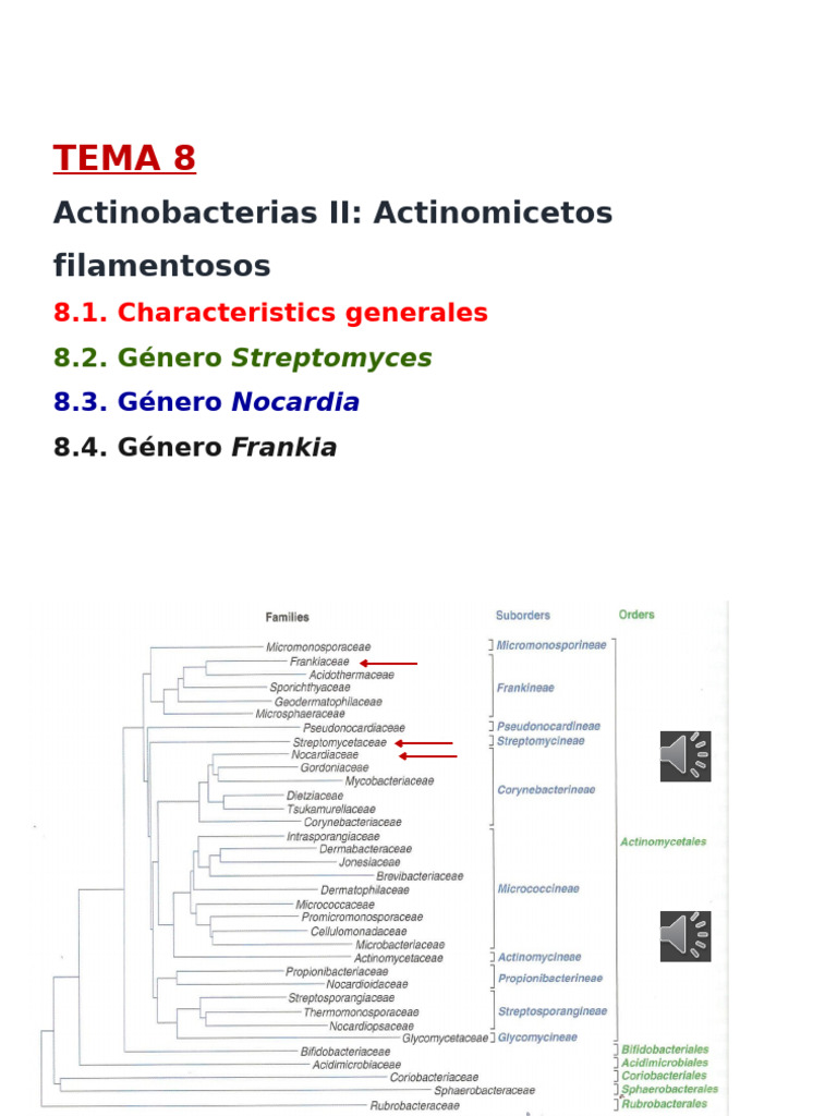 Tema 8b. Actinobacterias Filamentosas | PDF
