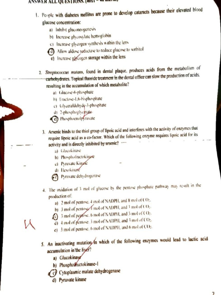 Biochemistry Test 1 2024 MBCHB | PDF | Electron Transport Chain ...