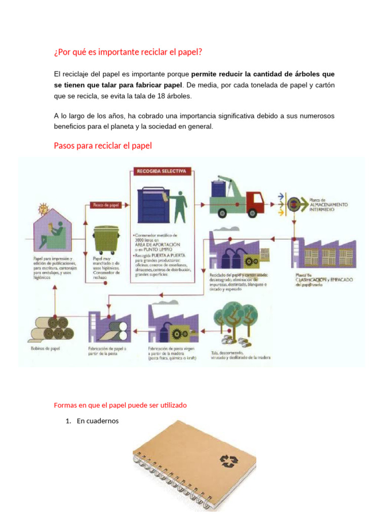 Por Qué Es Importante Reciclar El Papel | PDF