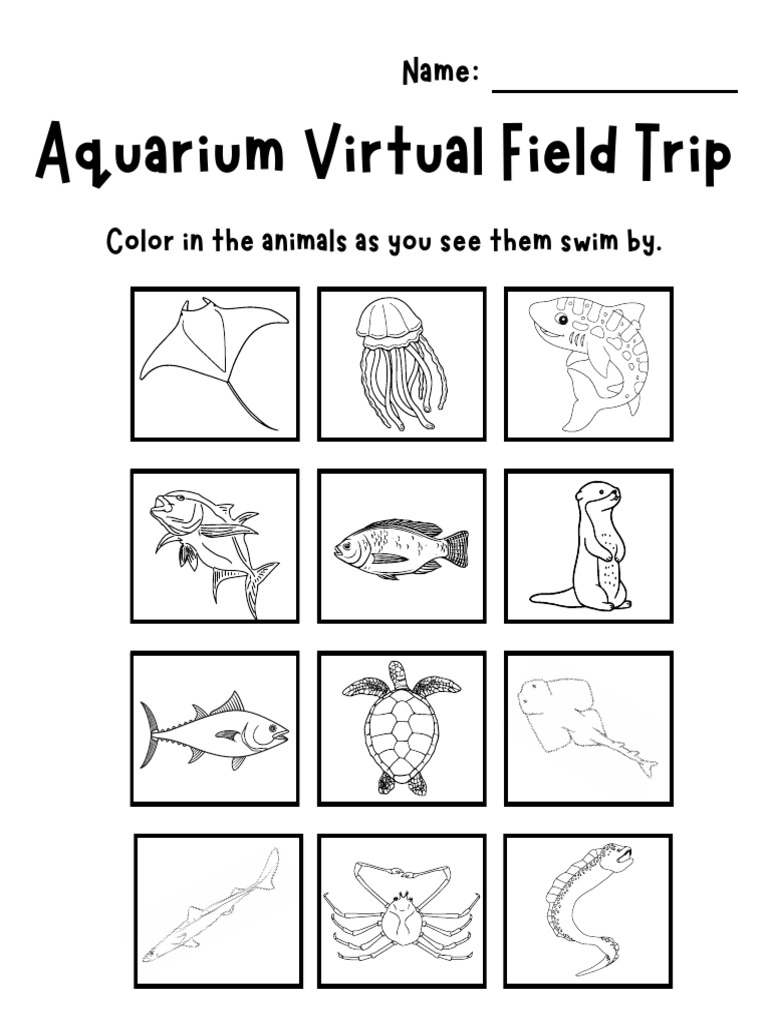 Aquarium Virtual Field Trip: Name | PDF