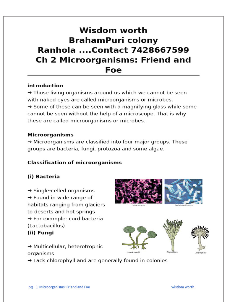 CH 2 Class 8 Sci Short Notes | PDF | Microorganism | Bacteria