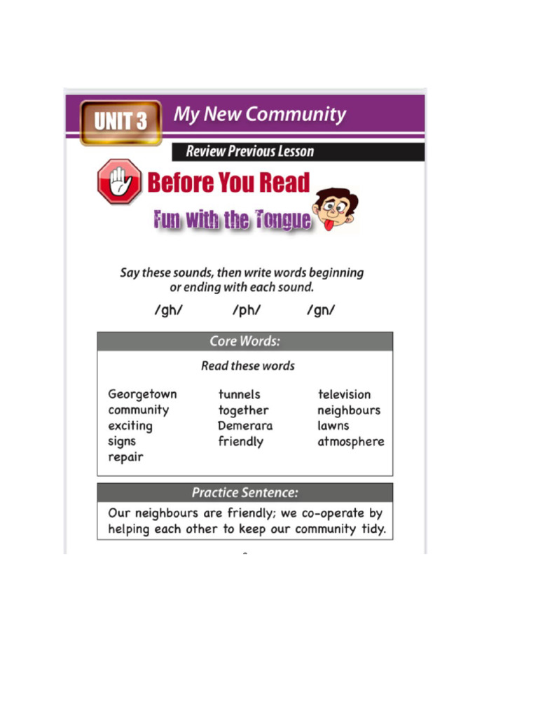 Grade 3 Literacy Plan: My Community | PDF | Reading Comprehension | Phonics