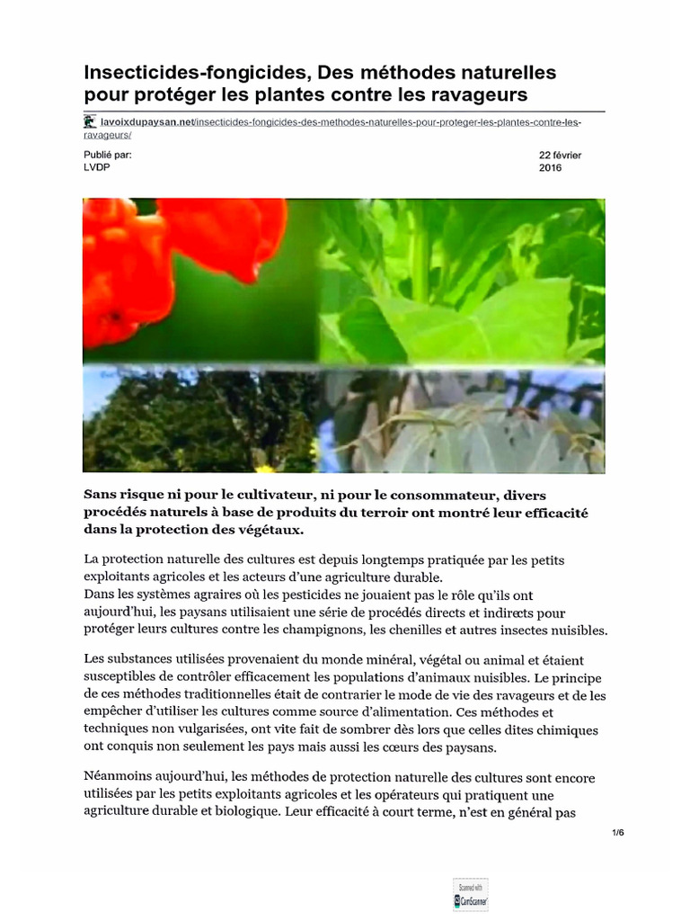 Méthode de Protection Des Plantes Contre Les Ravageurs | PDF