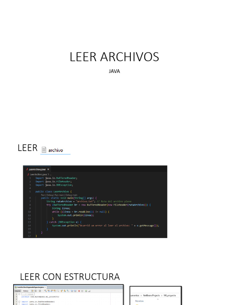 Leer Archivo Con Java | PDF