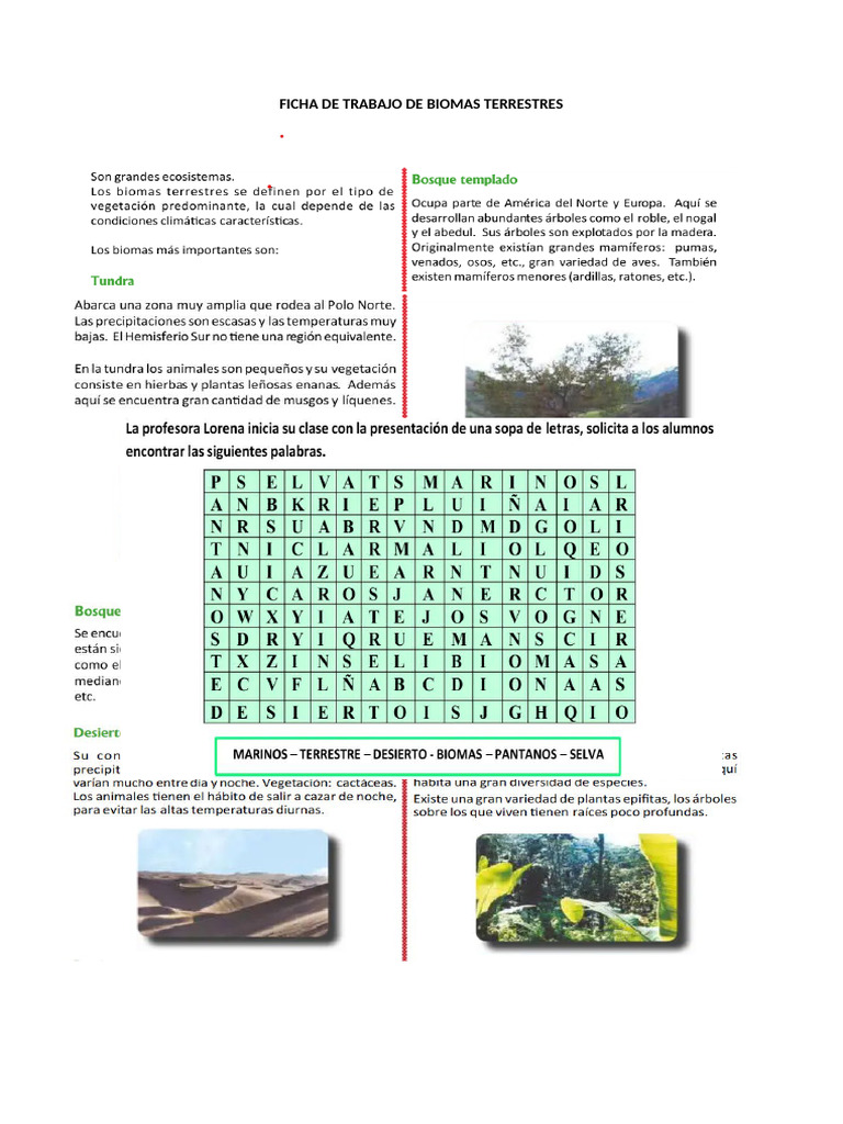 Ficha de Trabajo de Biomas Terrestres11 | PDF