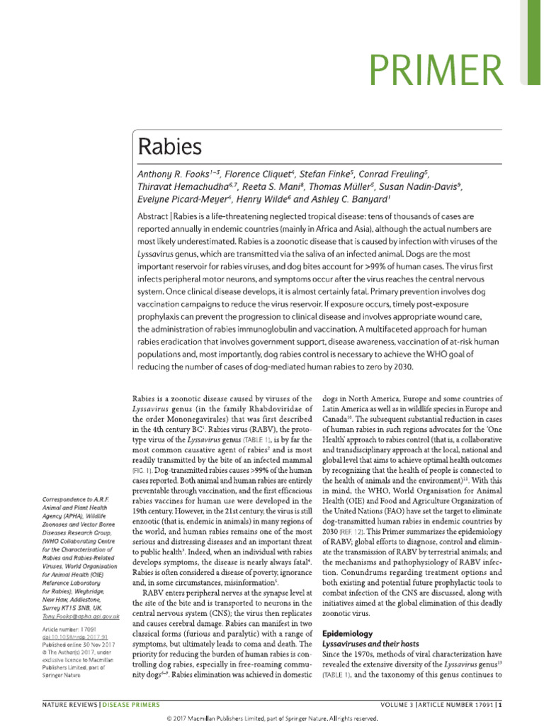 Rabies Primer | PDF