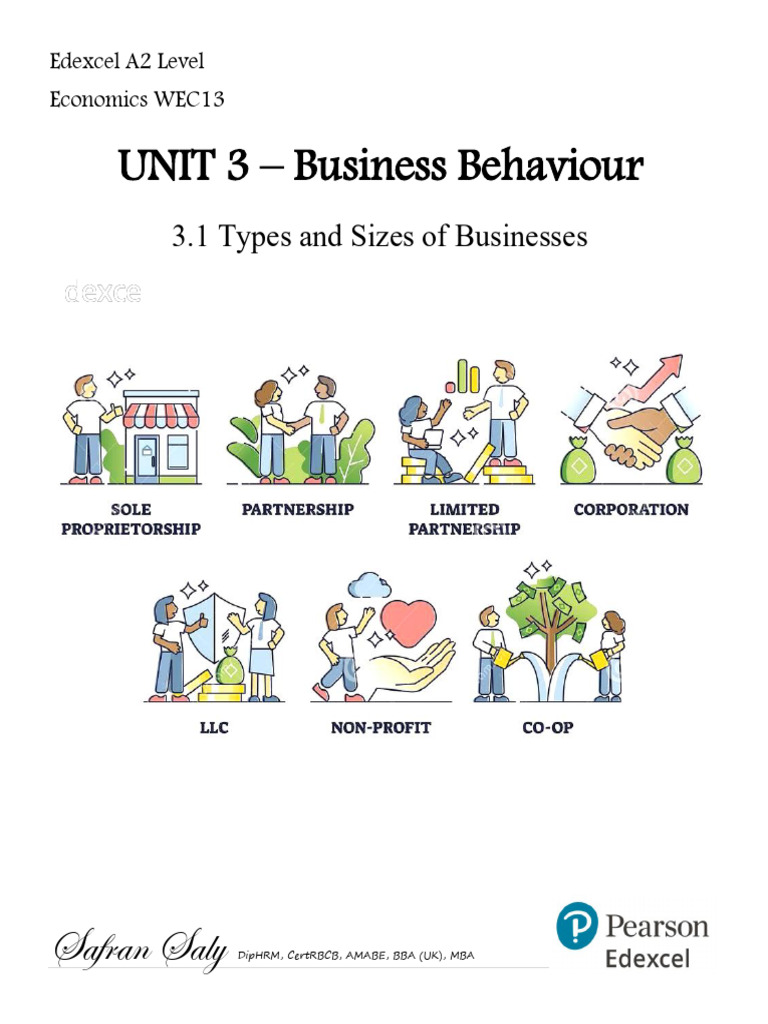 Types and Sizes of Businesses | PDF | Mergers And Acquisitions | Profit ...