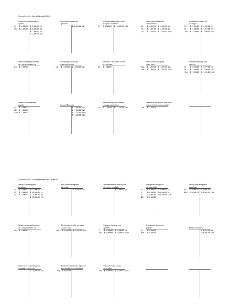 Praticas Ley de Egresos | PDF