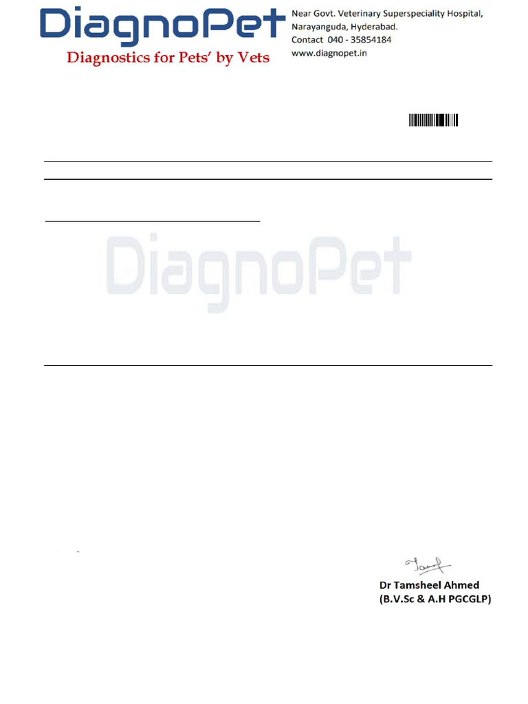 Dog Krishna-Male2 Years-45524 | PDF | Medicine | Diseases And Disorders