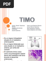 Histología del Timo y sus Funciones | PDF | Timo | Linfocitos