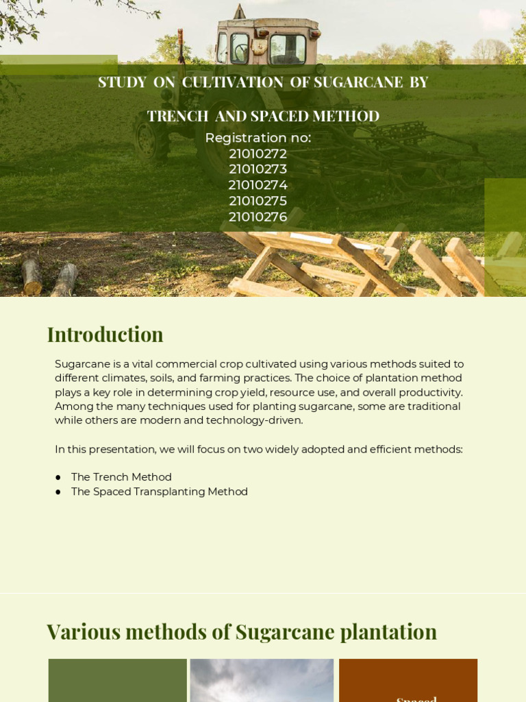 Sustainable Agriculture Project Proposal Infographics by Slidesgo | PDF ...