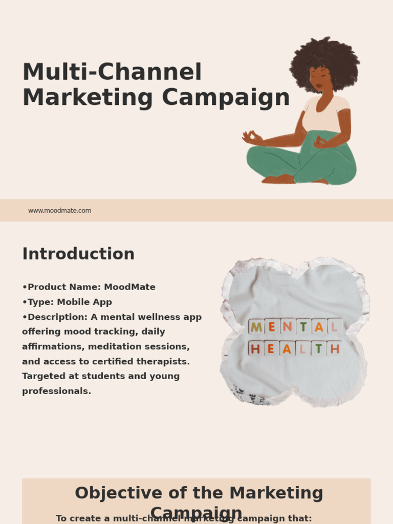 Multi-Channel Marketing Campaign Example | PDF