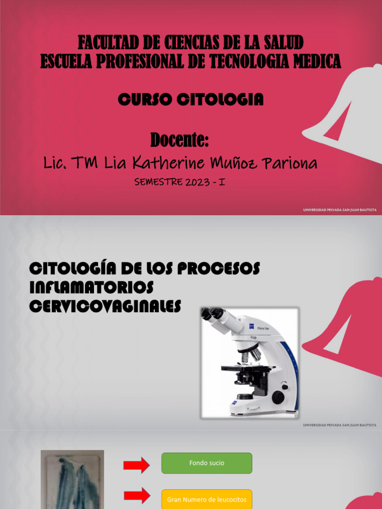 Clase 7 Citologia Practica (2) | PDF