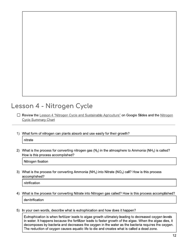 Lesson 4 Ecology | PDF