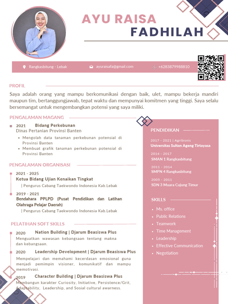 CV Ayu Raisa | PDF