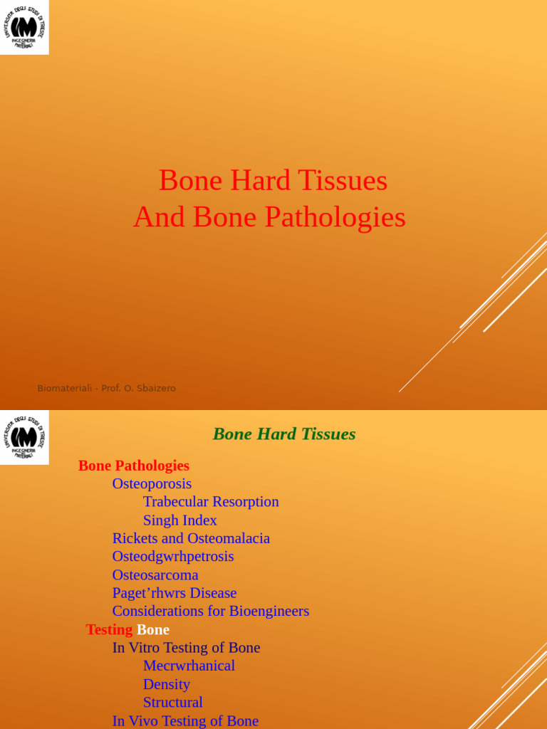 Bone Hard Tissues and Bone Pathologies | PDF | Osteoporosis | Bone