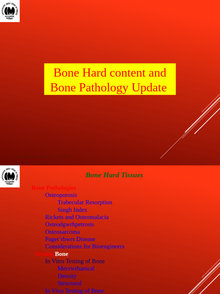 Bone Hard Content and Bone Pathology Update | PDF | Osteoporosis | Bone