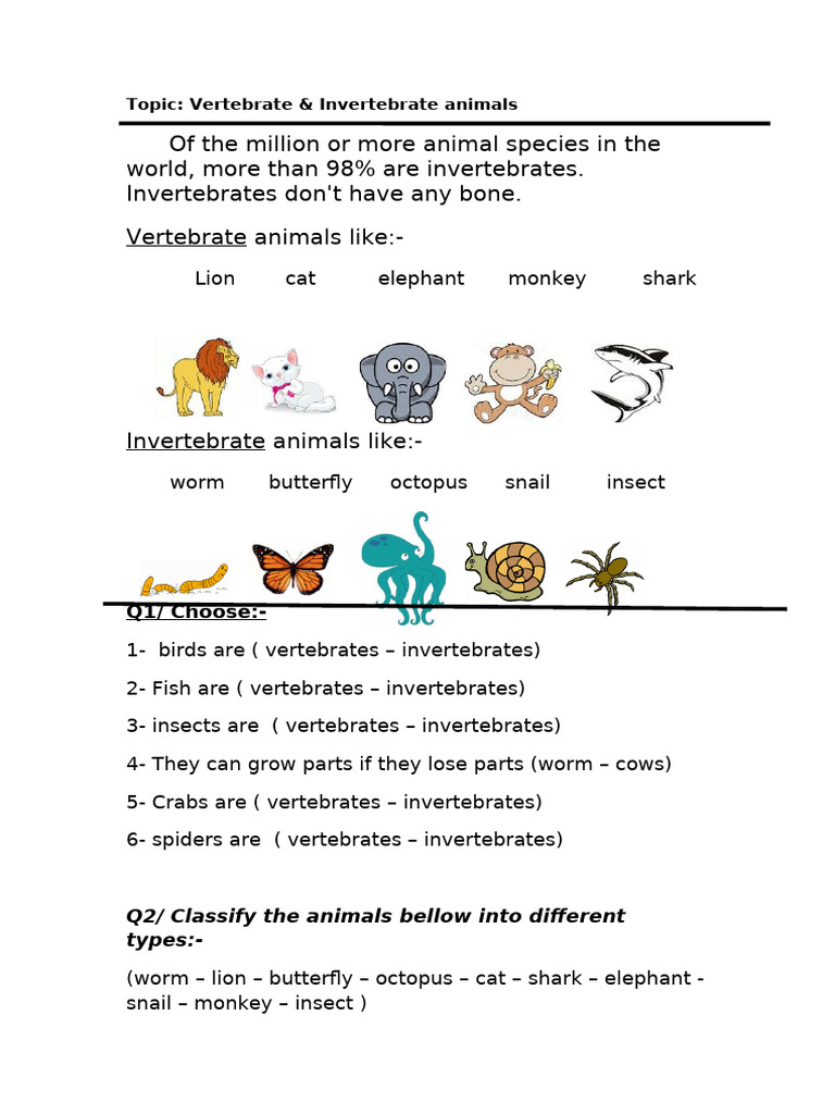 Vertebrate vs. Invertebrate Animals | PDF