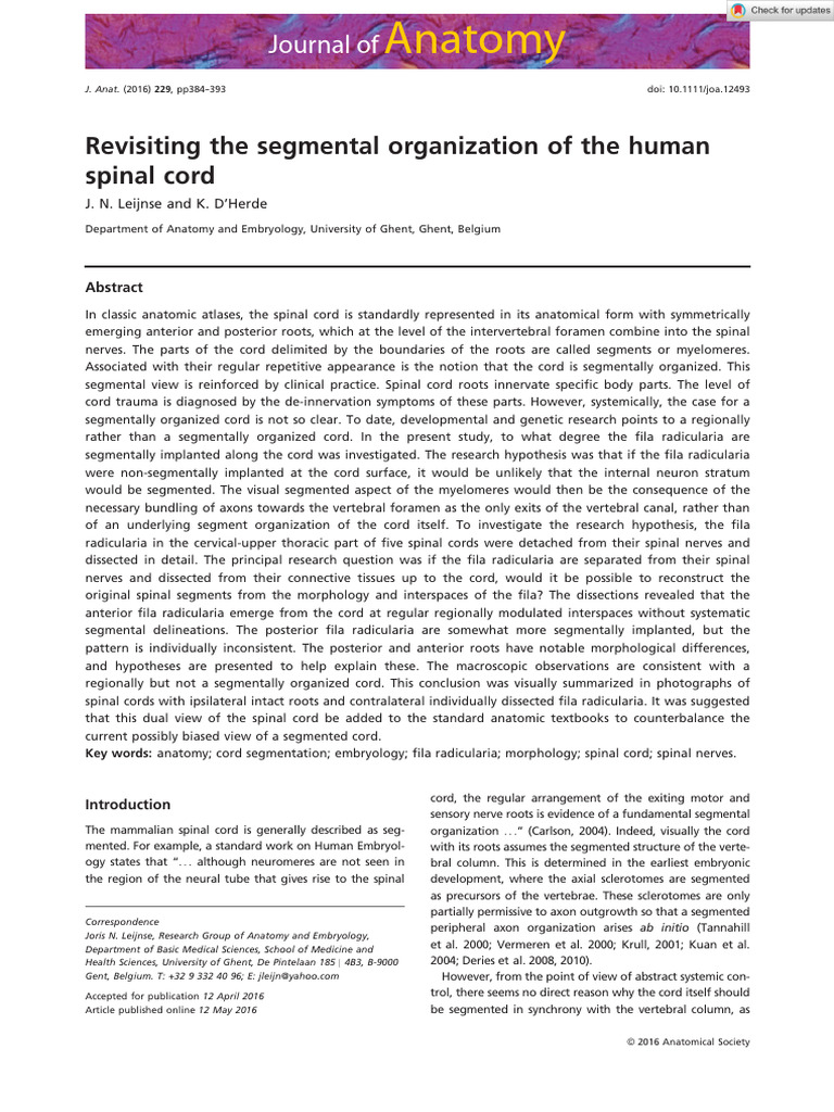 Journal of Anatomy - 2016 - Leijnse - Revisiting The Segmental ...