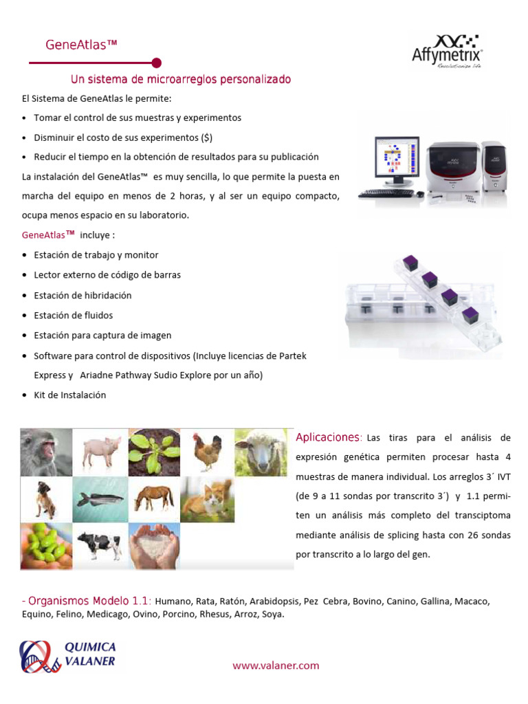 Gene Atlas | PDF