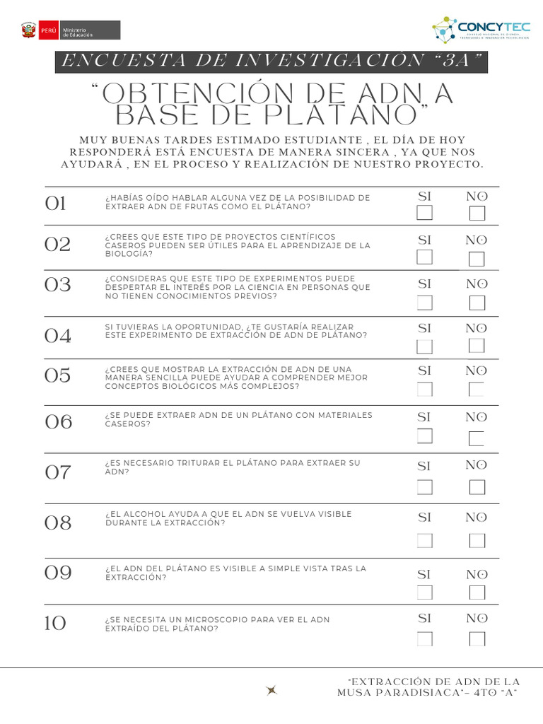 Cream Coach Yes No Checklist Worksheet A4 Document | PDF | Experimentar ...