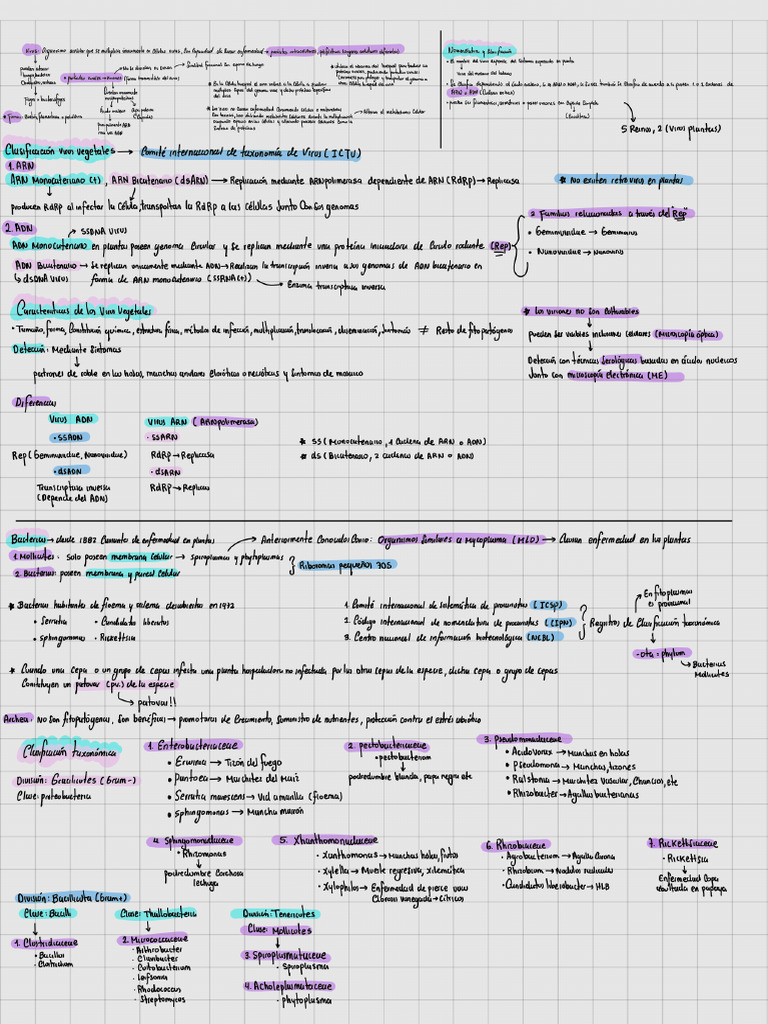 Bacterias y Virus Samuel Berrio Ballesteros | PDF