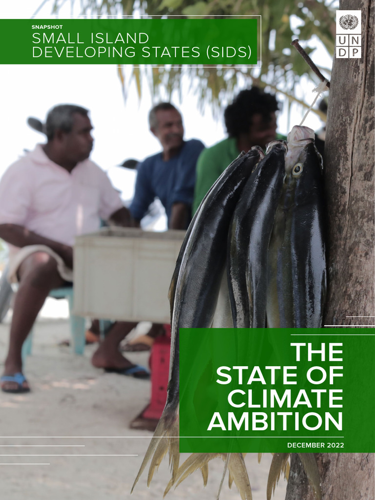 Climate Ambition in Small Island States | PDF | Climate Change ...