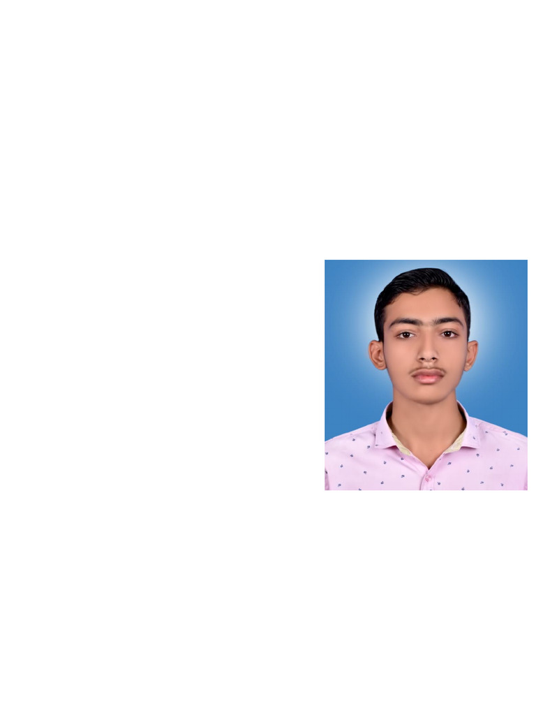 TCS Temporary Gate Pass Guddu Pandey (1) | PDF