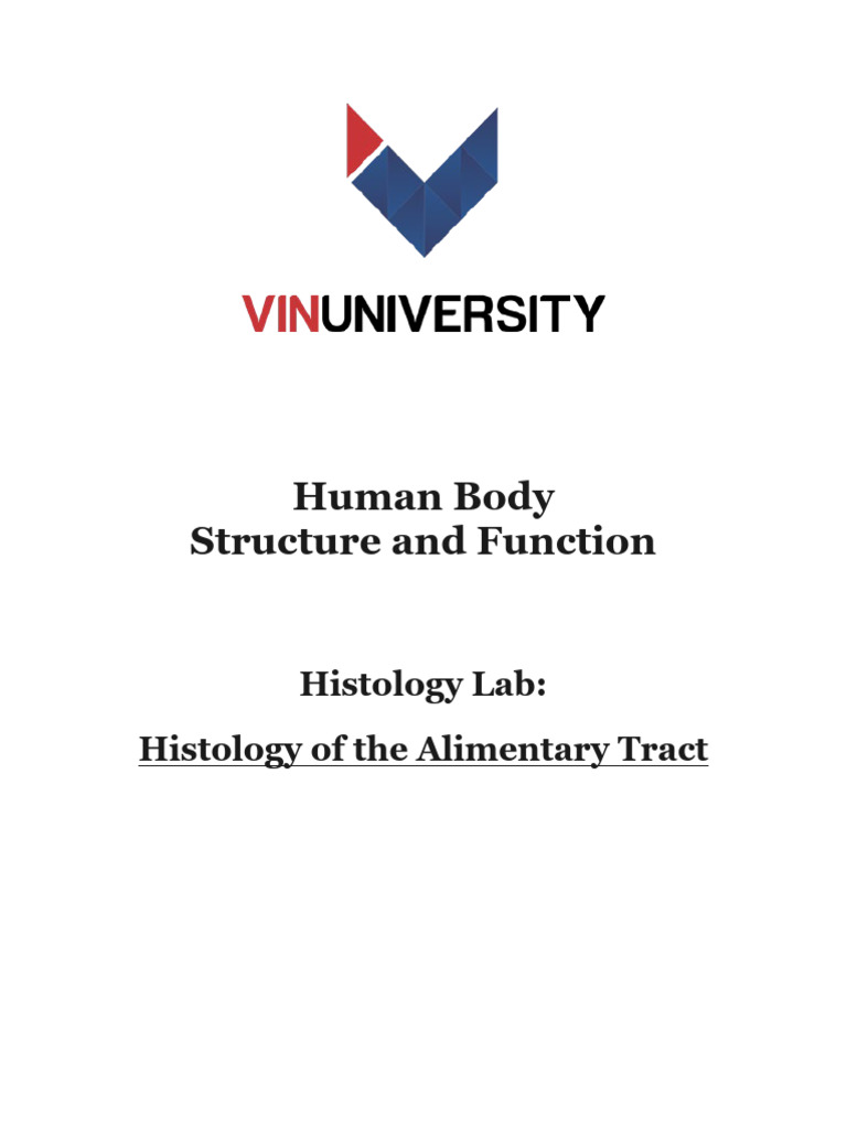 UME HBSF Histology Lab Histology of the Alimentary Tract | PDF ...