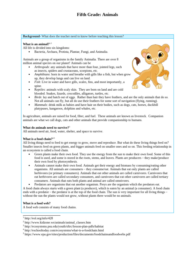 5th Grade Animals Lesson Plan (FINAL) | PDF | Foods | Predation