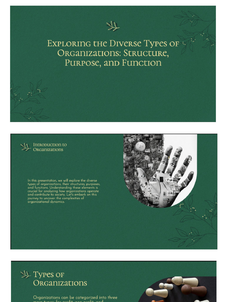 2a.types of Organizations 27jan M | PDF