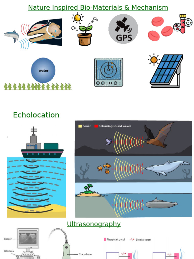 Biology For Engineers 4th Module | PDF
