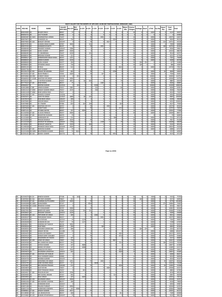 Ngo's Salary Apr 2025 | PDF