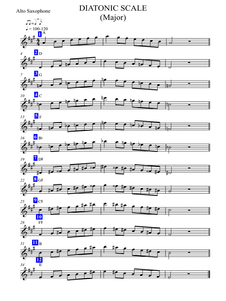 Diatonic Scale Major Parts | PDF