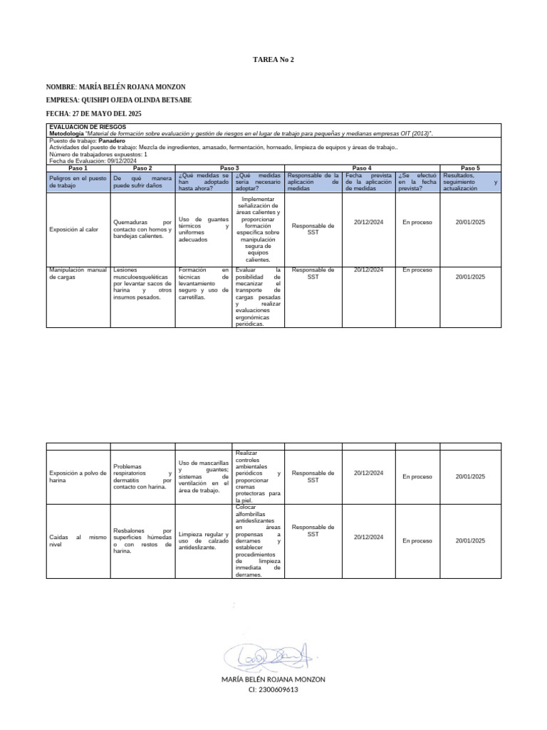 Tarea Dos - Evaluacion de Riesgos. | PDF