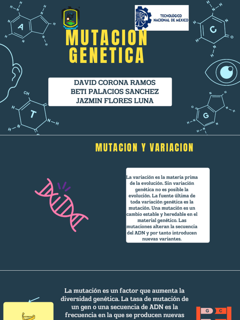 Ejemplo de mutaciones genéticas | PDF | Mutación | Evolución