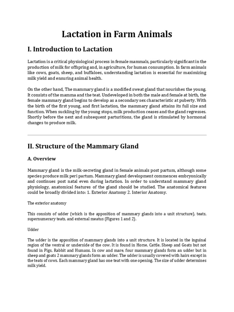 Lactation and Mammary Gland Anatomy | PDF | Lactation | Milk