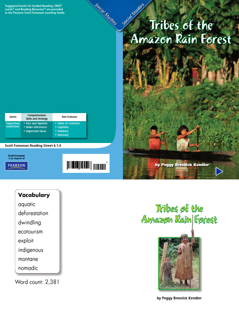 Amazon Rainforest Tribes Overview | PDF | Rainforest | Amazon Rainforest