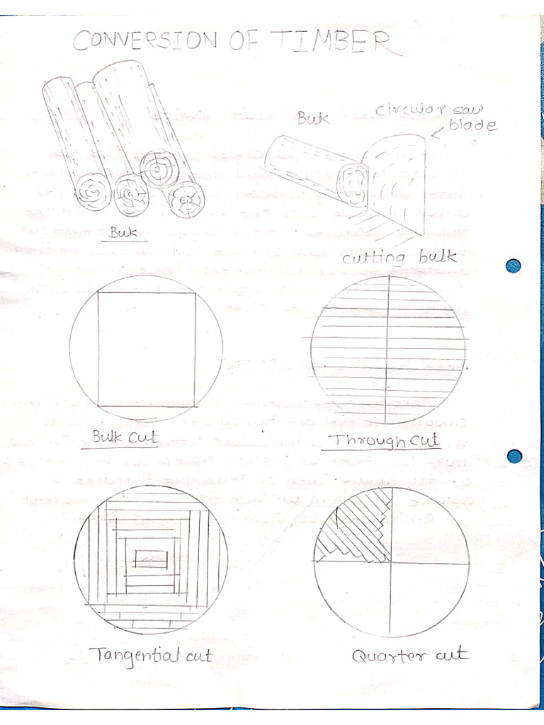 16-B BWP Carpentry Theory | PDF